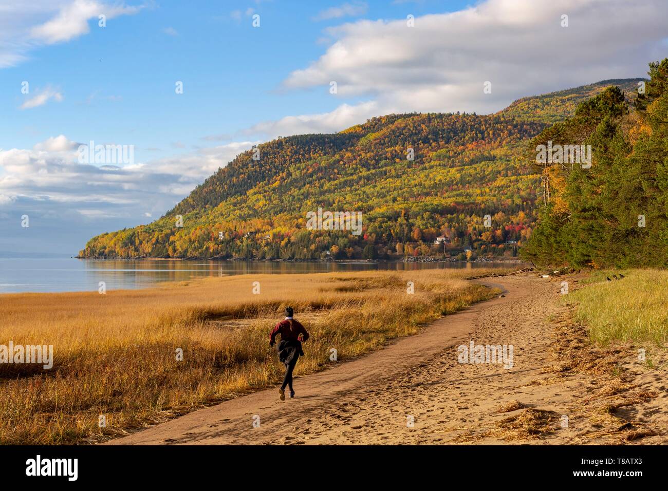 St lawrence river beach quebec hi-res stock photography and images - Alamy