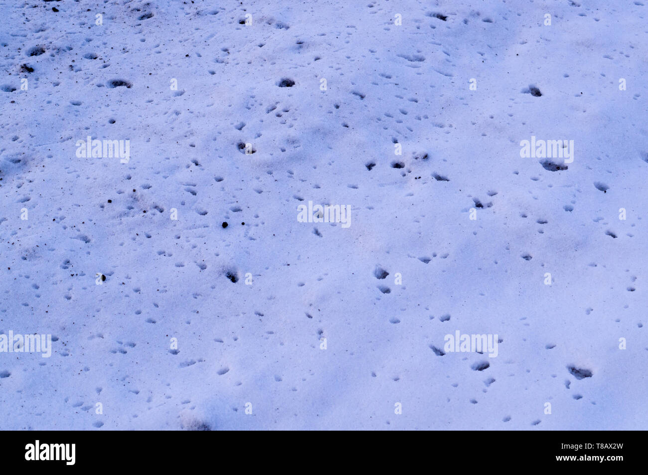 Dirt road texture hi-res stock photography and images - Alamy