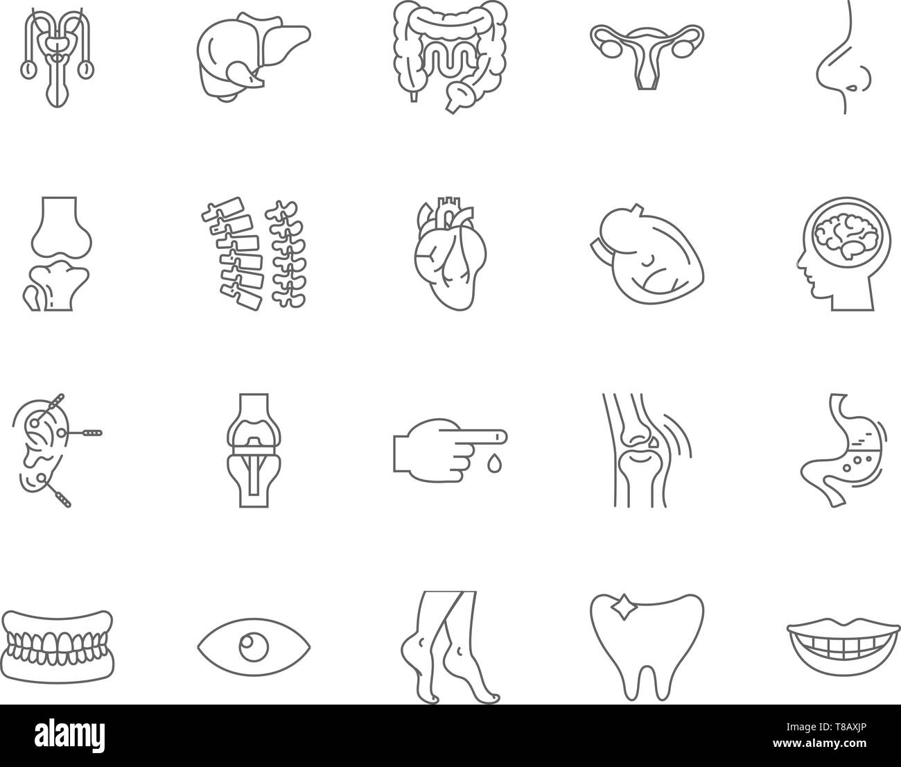 Human body line icons, signs, vector set, outline illustration concept ...