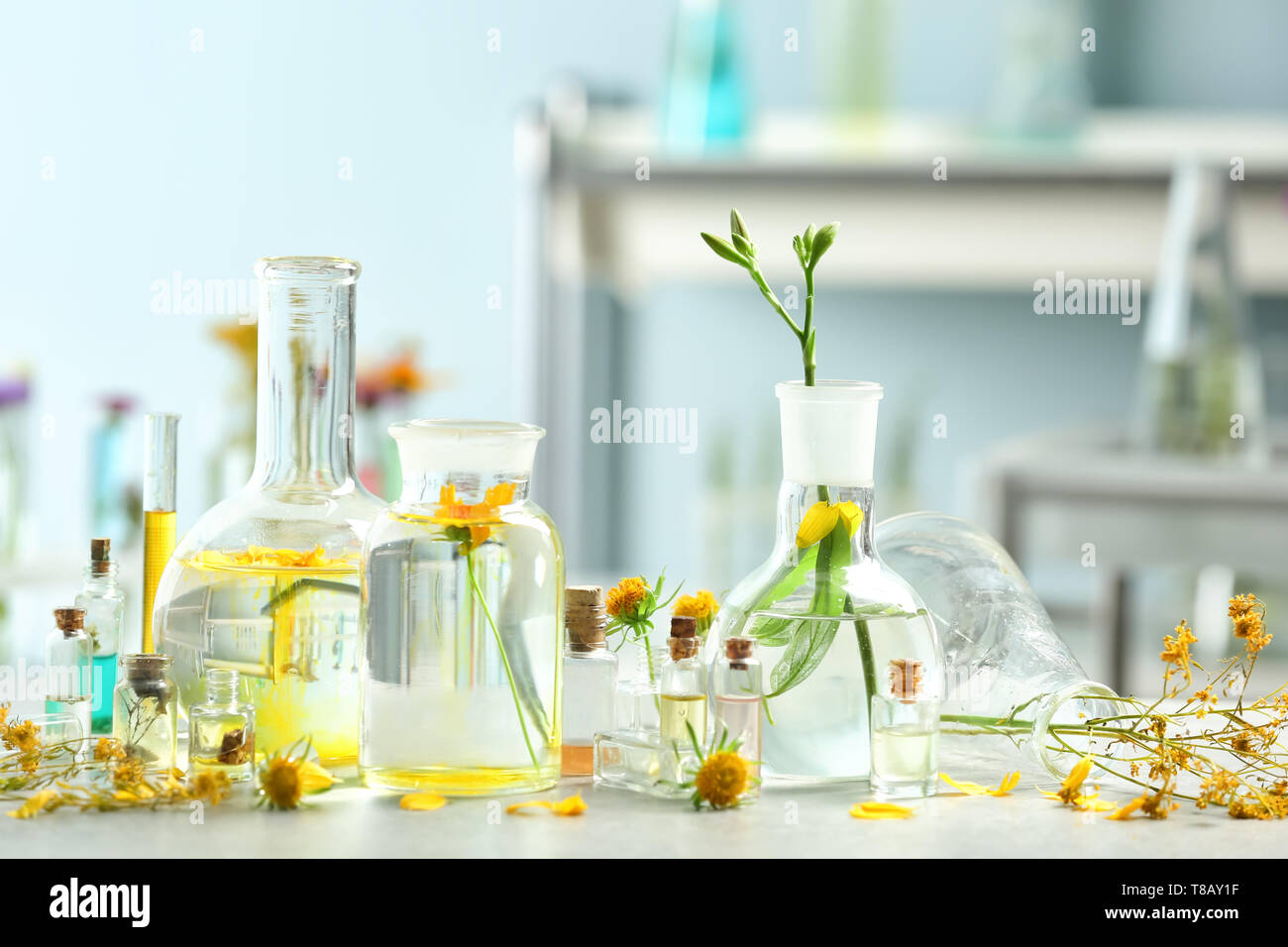 Laboratory glassware with flowers and water on table in laboratory ...