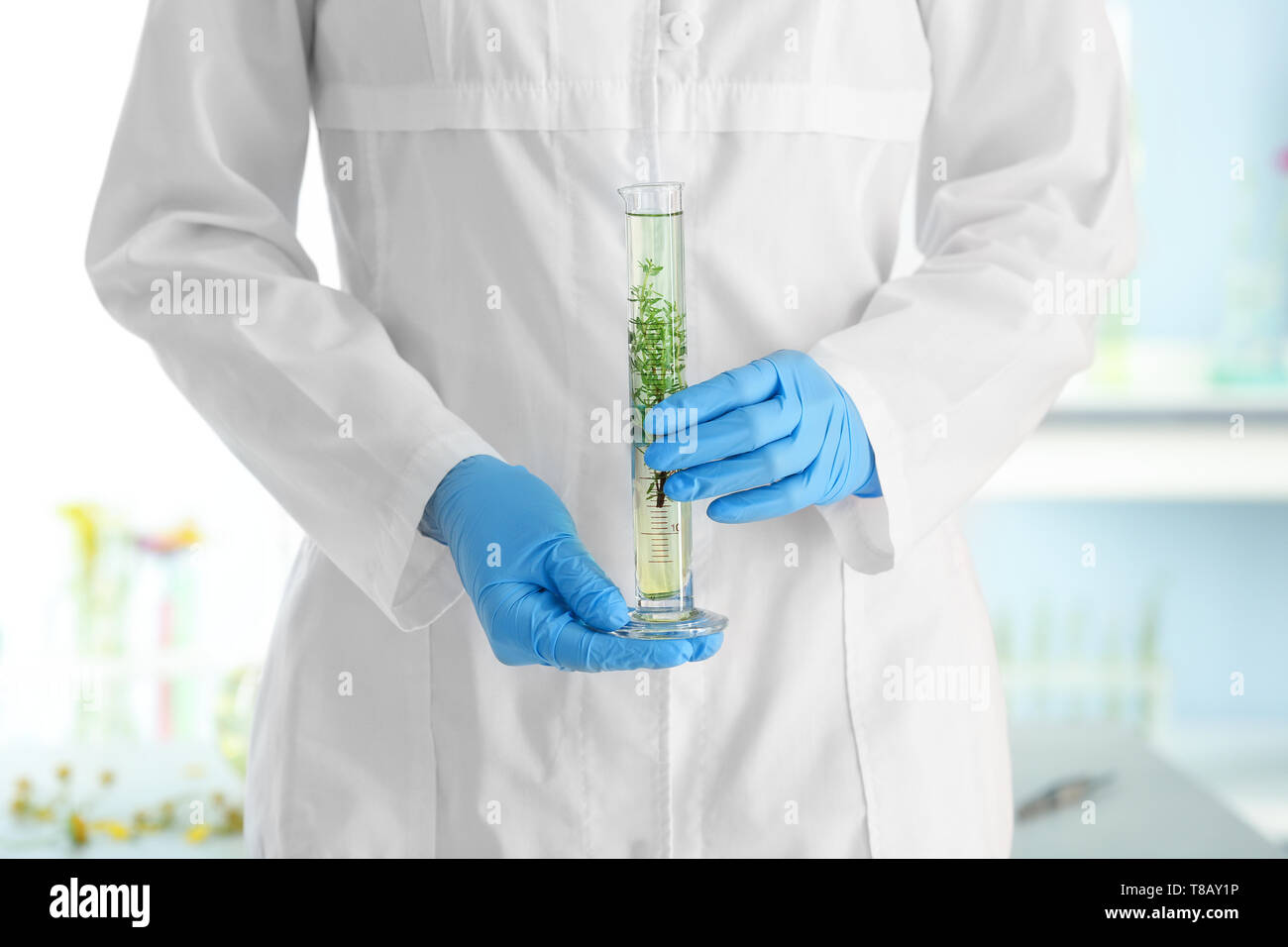 Scientist holding test tube with plant in laboratory Stock Photo - Alamy
