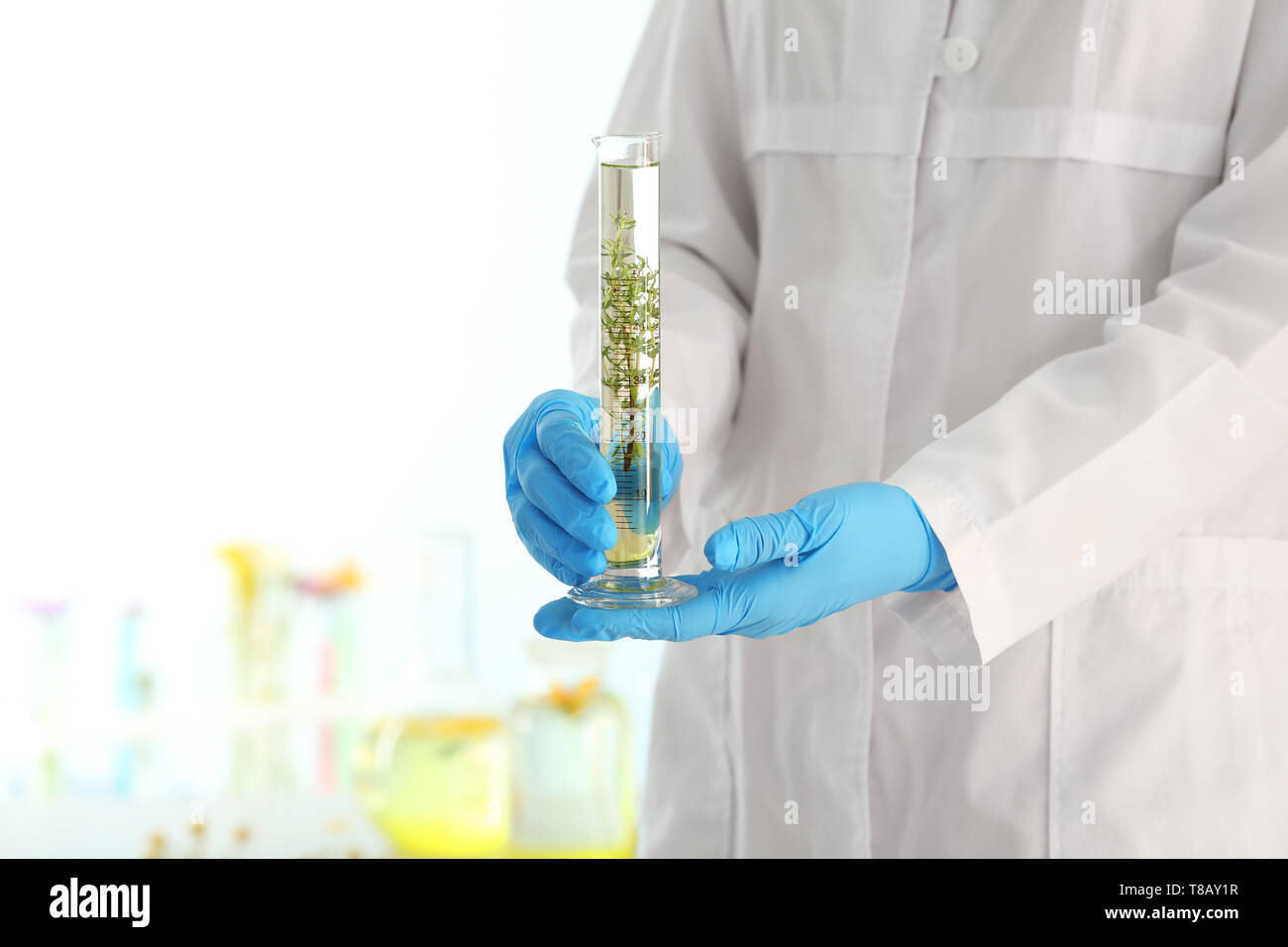 Scientist holding test tube with plant in laboratory Stock Photo - Alamy