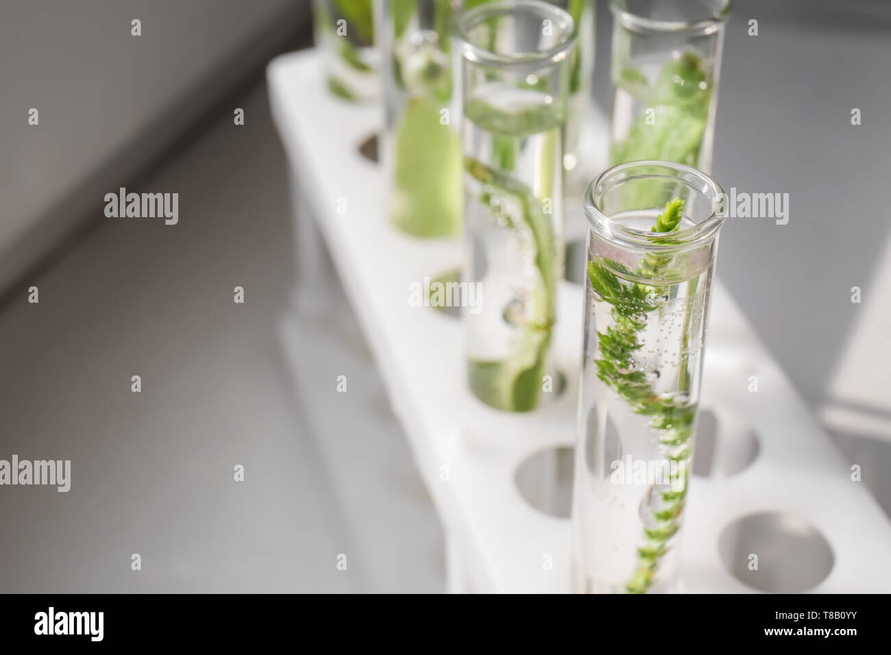 Extraction tube holder hi-res stock photography and images - Alamy