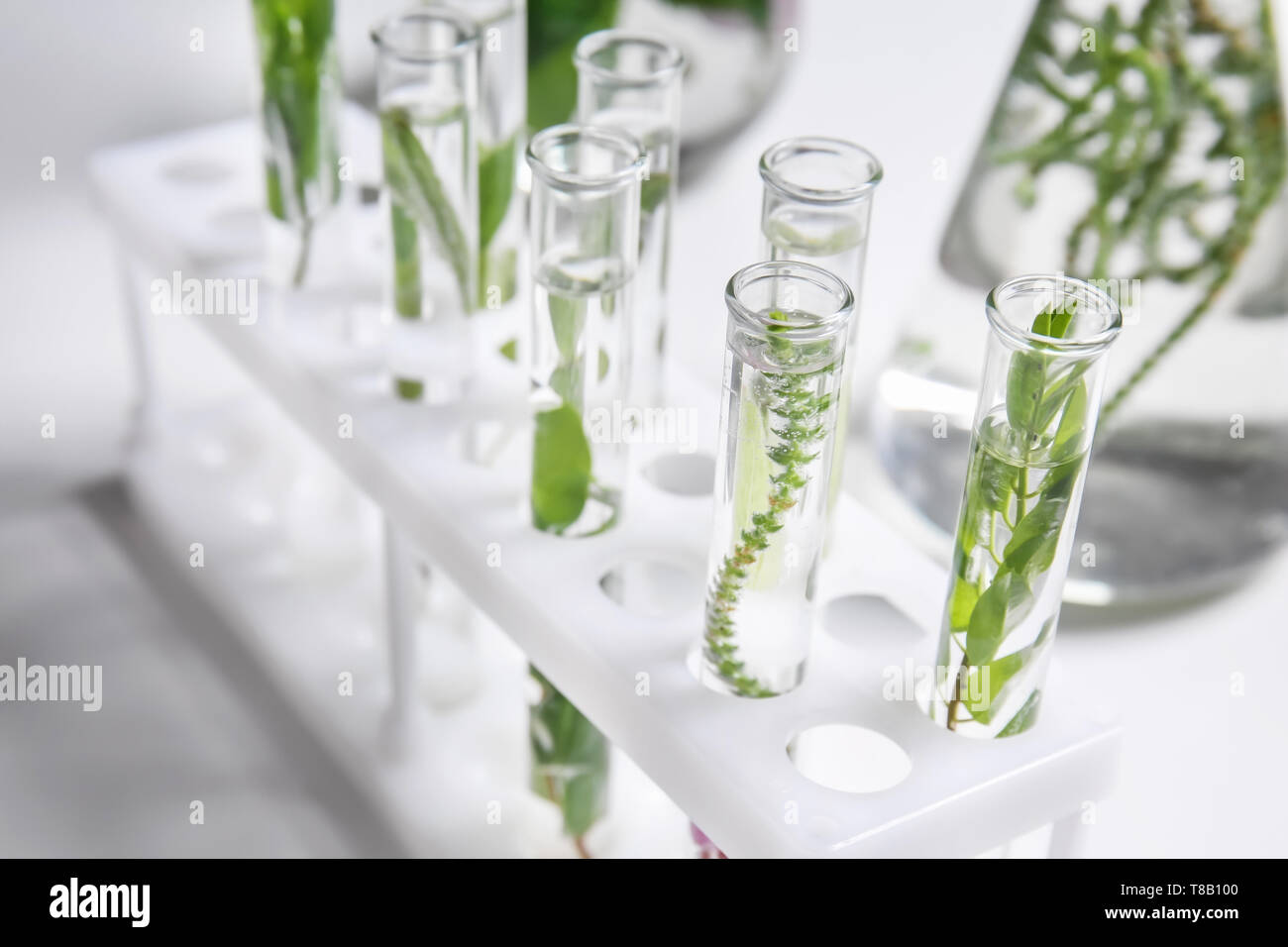 Extraction tube holder hi-res stock photography and images - Alamy