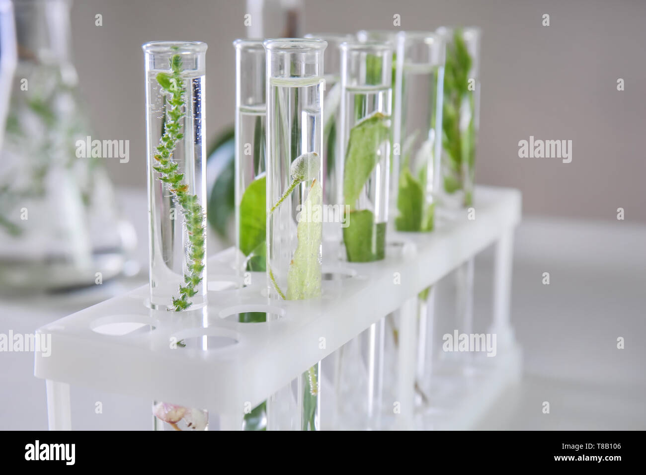 Extraction tube holder hi-res stock photography and images - Alamy