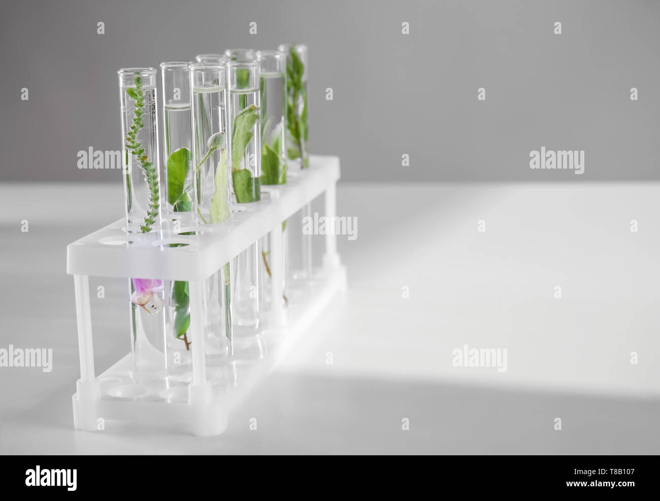 Extraction tube holder hi-res stock photography and images - Alamy