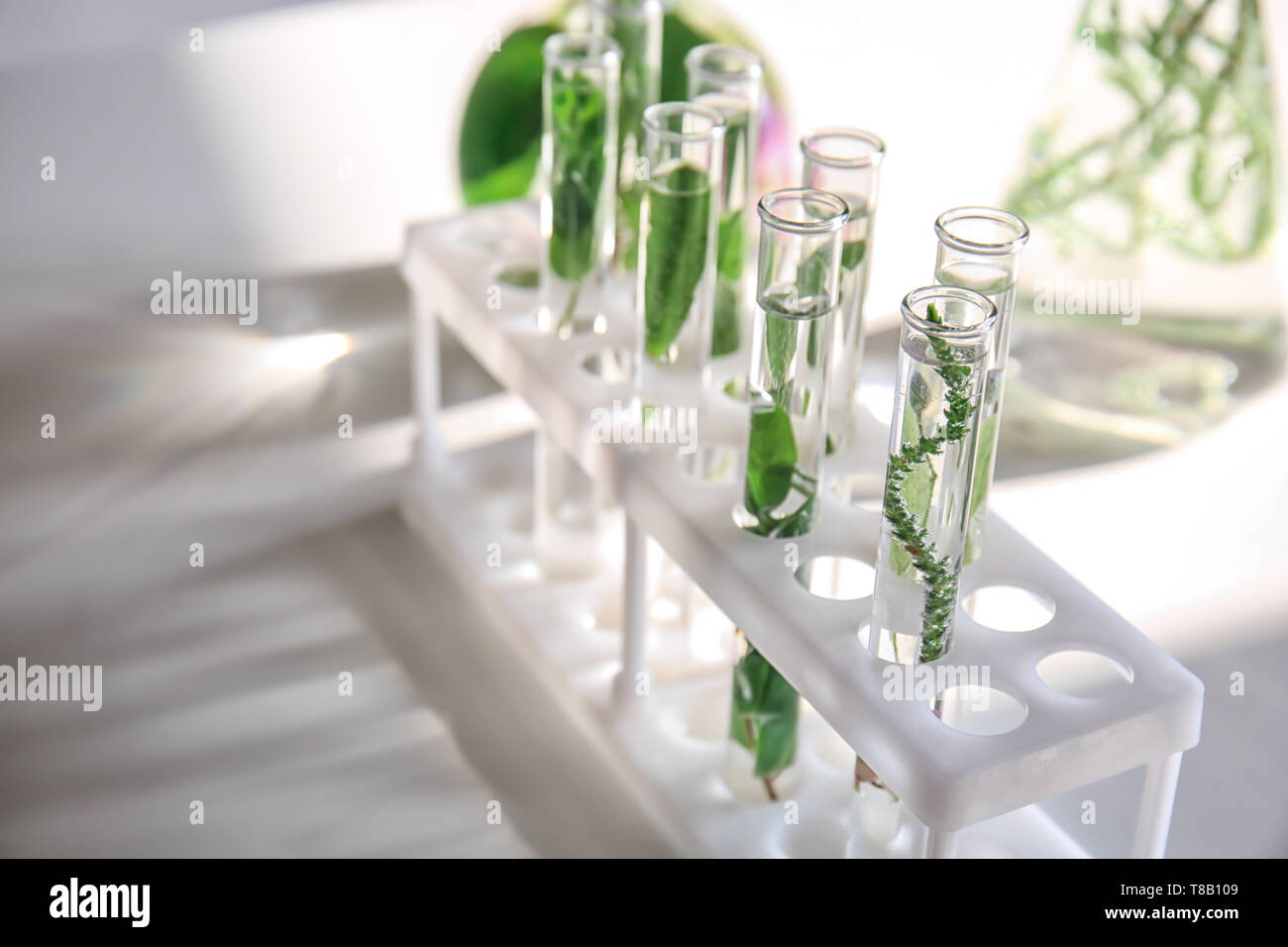 Extraction tube holder hi-res stock photography and images - Alamy