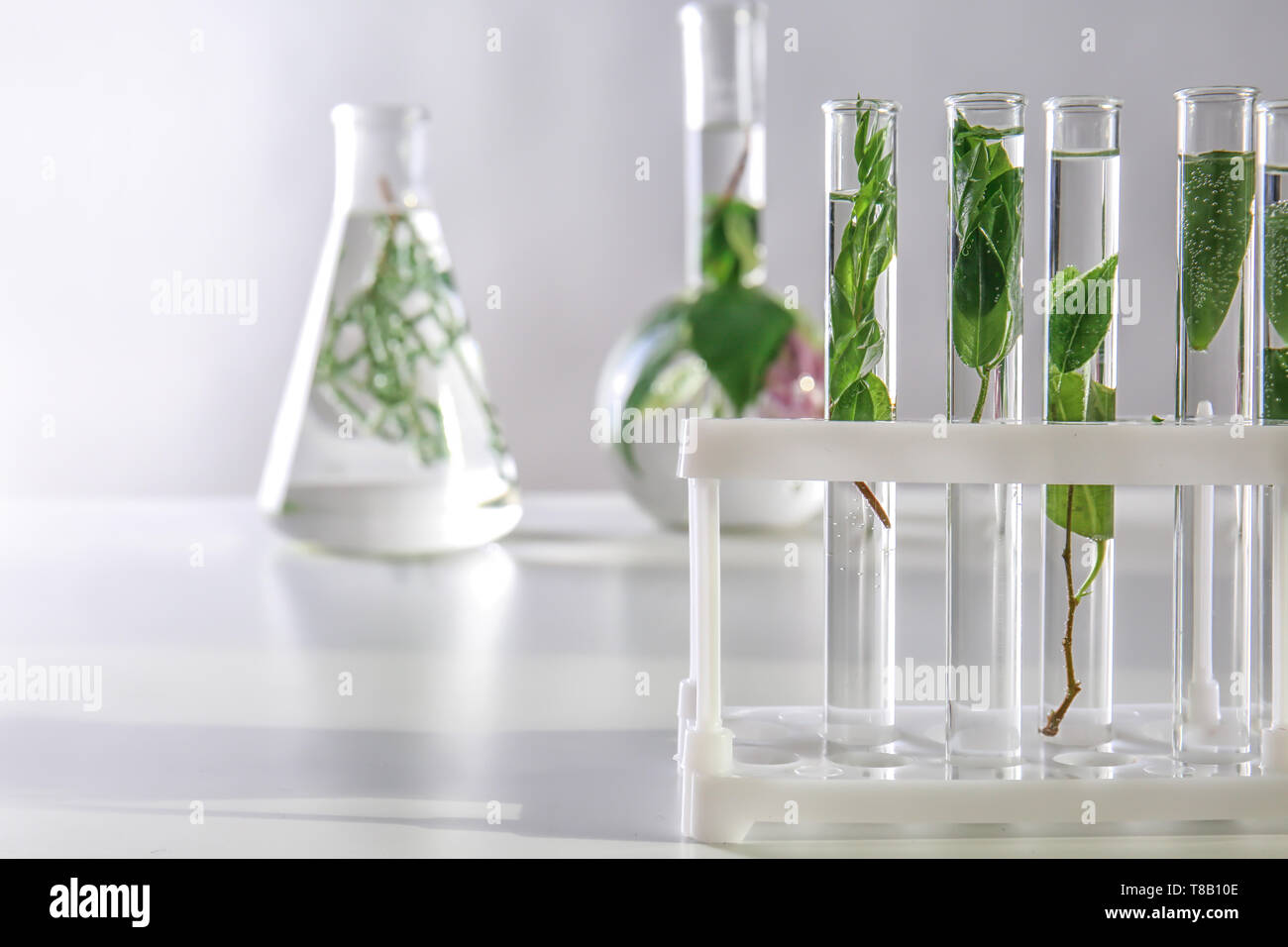 Extraction tube holder hi-res stock photography and images - Alamy