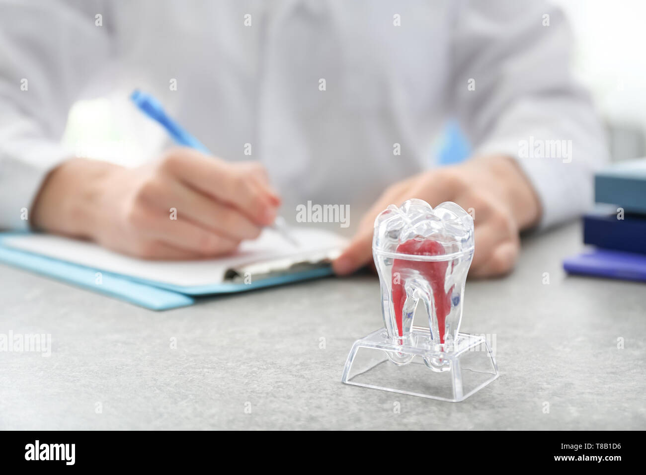 Table with plastic model of tooth on table of dentist's office Stock ...