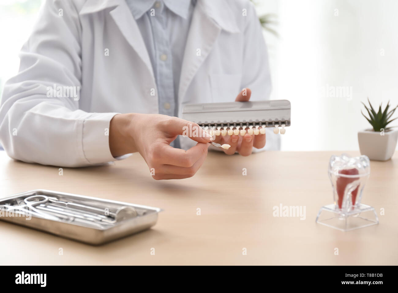 Dentist teeth color samples hi-res stock photography and images - Alamy