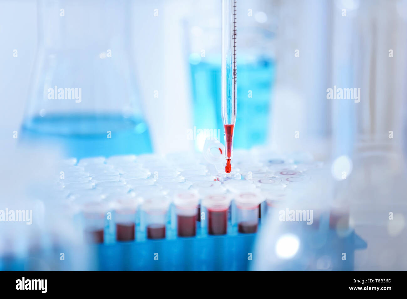 Dripping of blood into test tubes in laboratory Stock Photo - Alamy