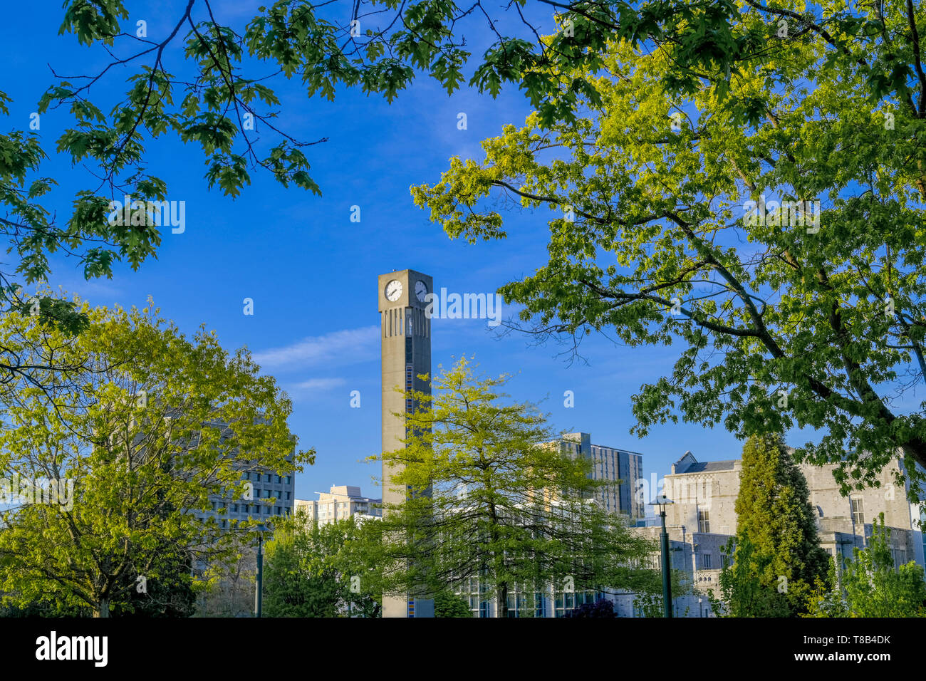 British columbia canada ubc vancouver clock tower hi-res stock ...