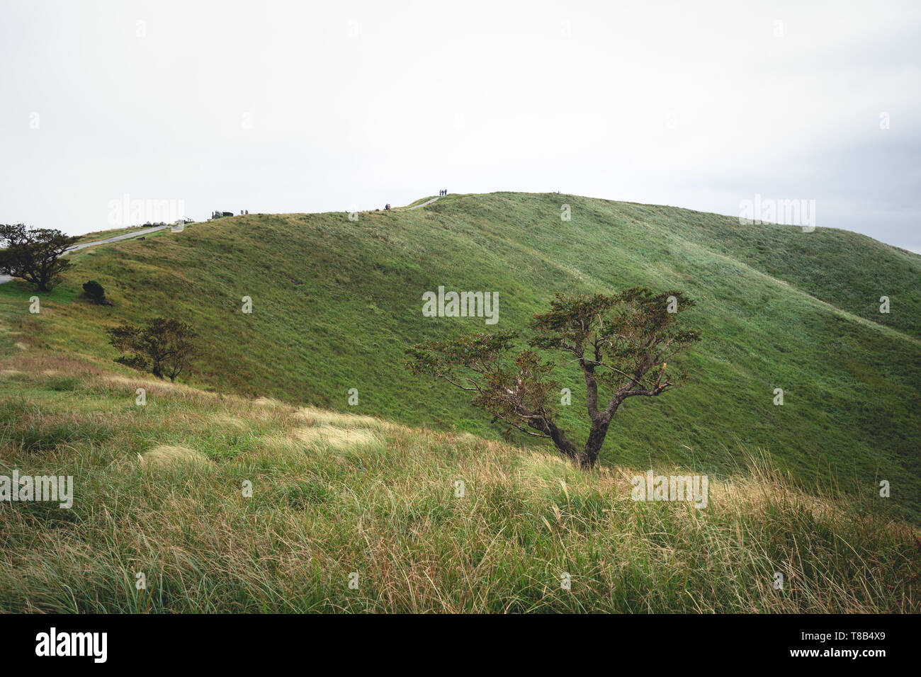 landscape on omuro mountain shizuoka japan Stock Photo - Alamy