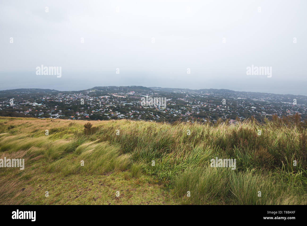 landscape on omuro mountain shizuoka japan Stock Photo - Alamy
