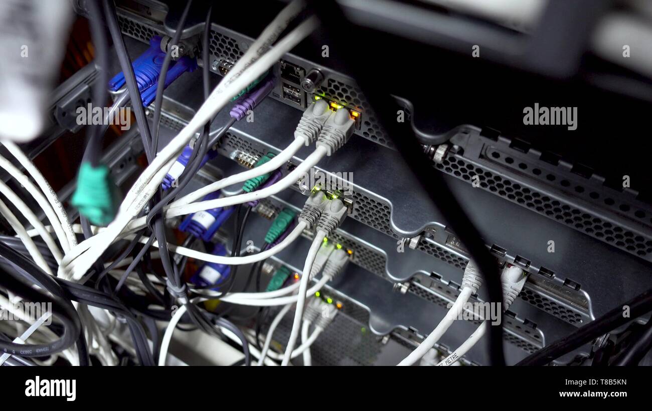 Network stack. Network activity on switch. Indication of operation of ...