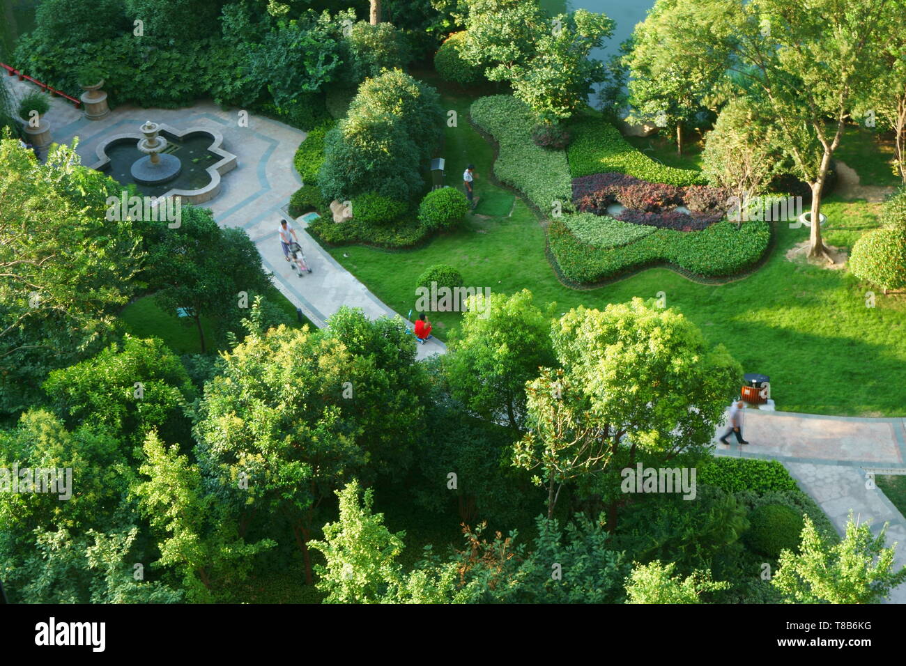 Bird's eye view of the garden Stock Photo - Alamy