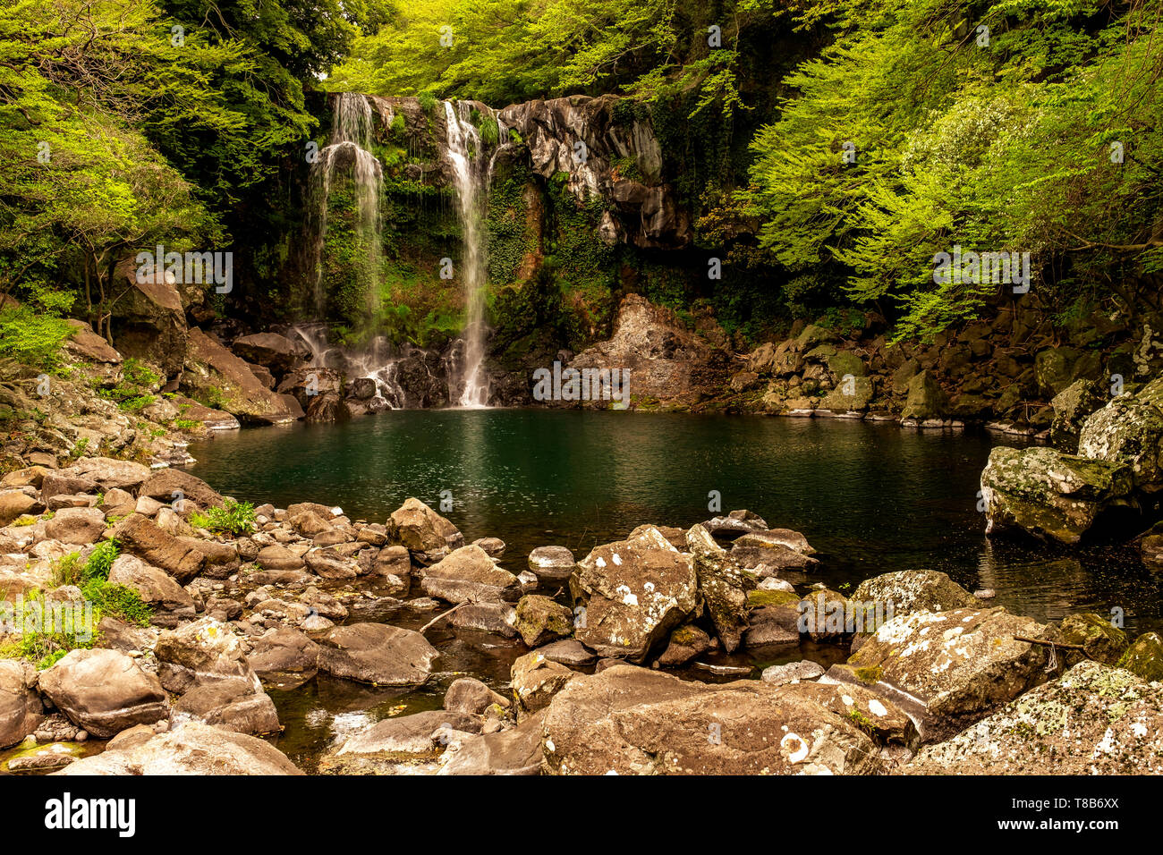 landscape view with trees and waterfall, Jeju, South Korea Stock Photo ...