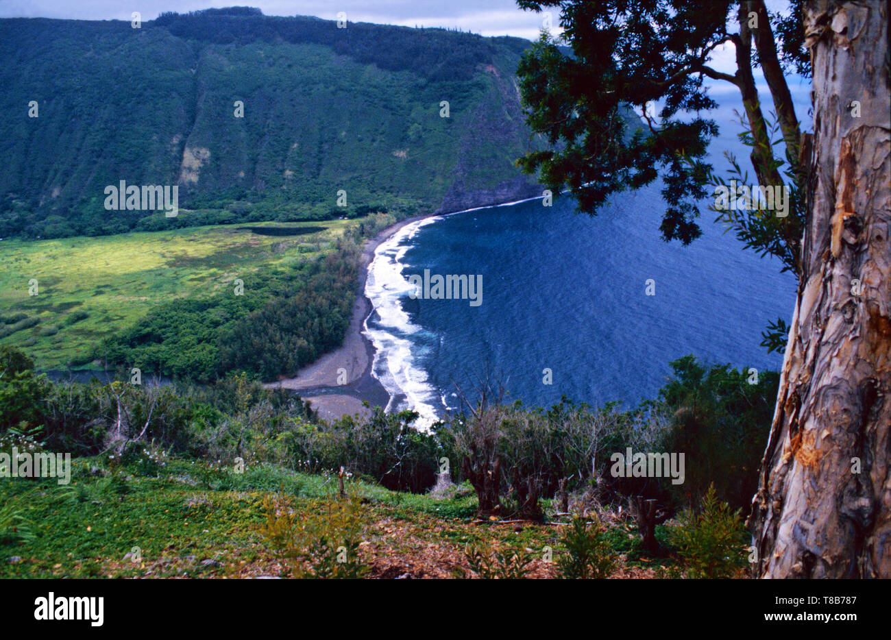 Waipio valley overlook hi-res stock photography and images - Alamy
