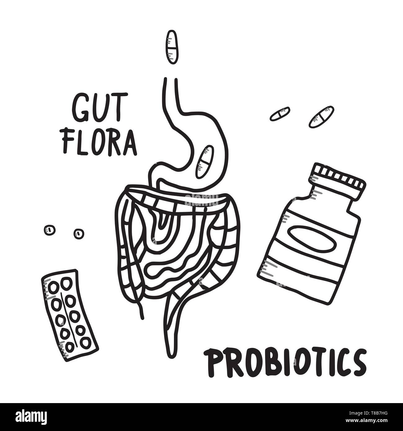 Probiotics concept. Set of treatment of digestive system symbols ...