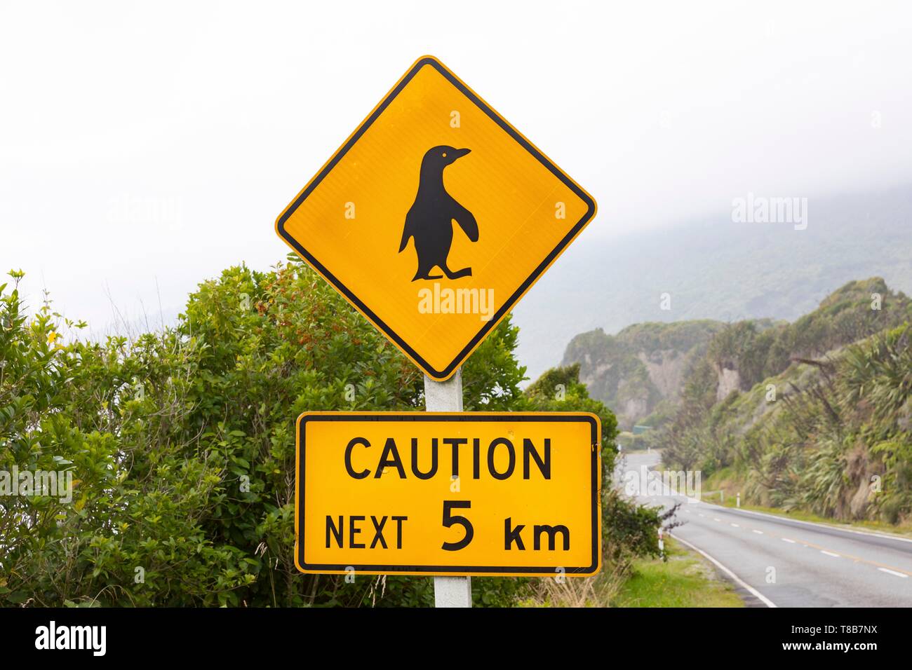 New Zealand, South Island, West Coast region, penguin road sign Stock ...