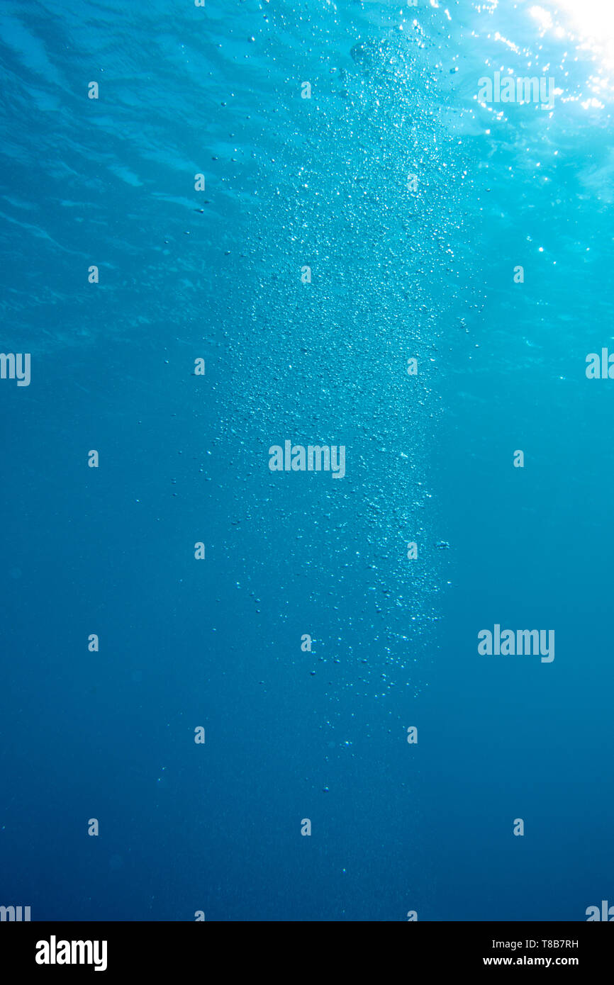 Bubbles from a Scuba diver rising to the surface Stock Photo - Alamy