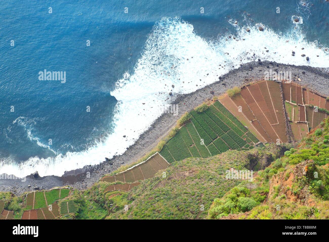 Portugal, Madeira Island, Cape Girao belvedere, cultivated fields at ...