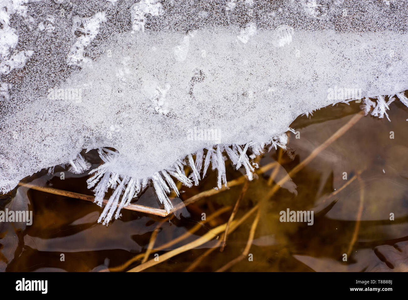 River landscape. Flowing water and ice. Natural winter background ...