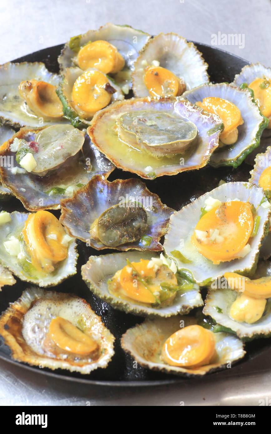 Food restaurant seafood shell hi-res stock photography and images - Alamy