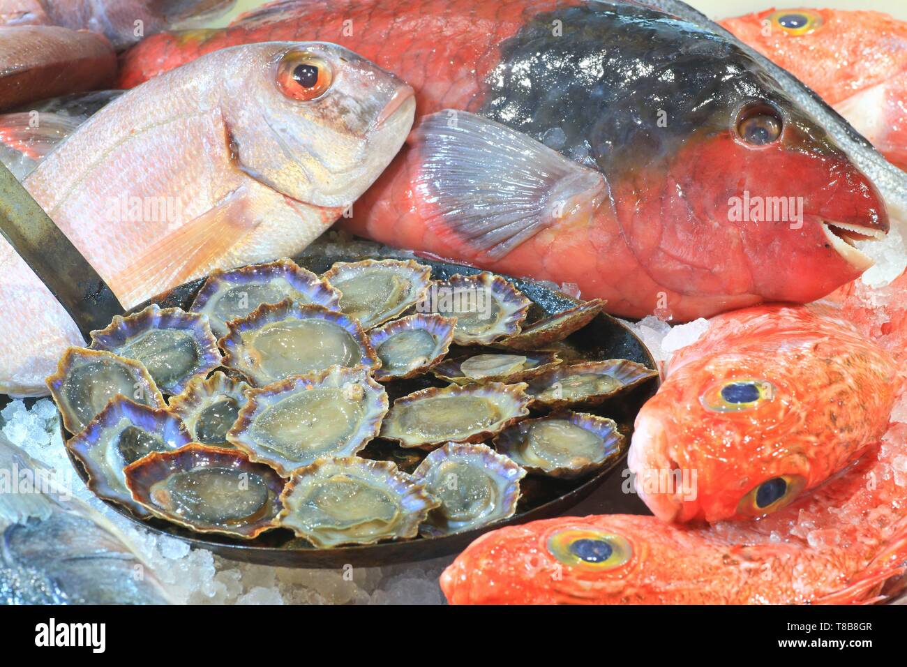 Madeira island seafood hi-res stock photography and images - Alamy