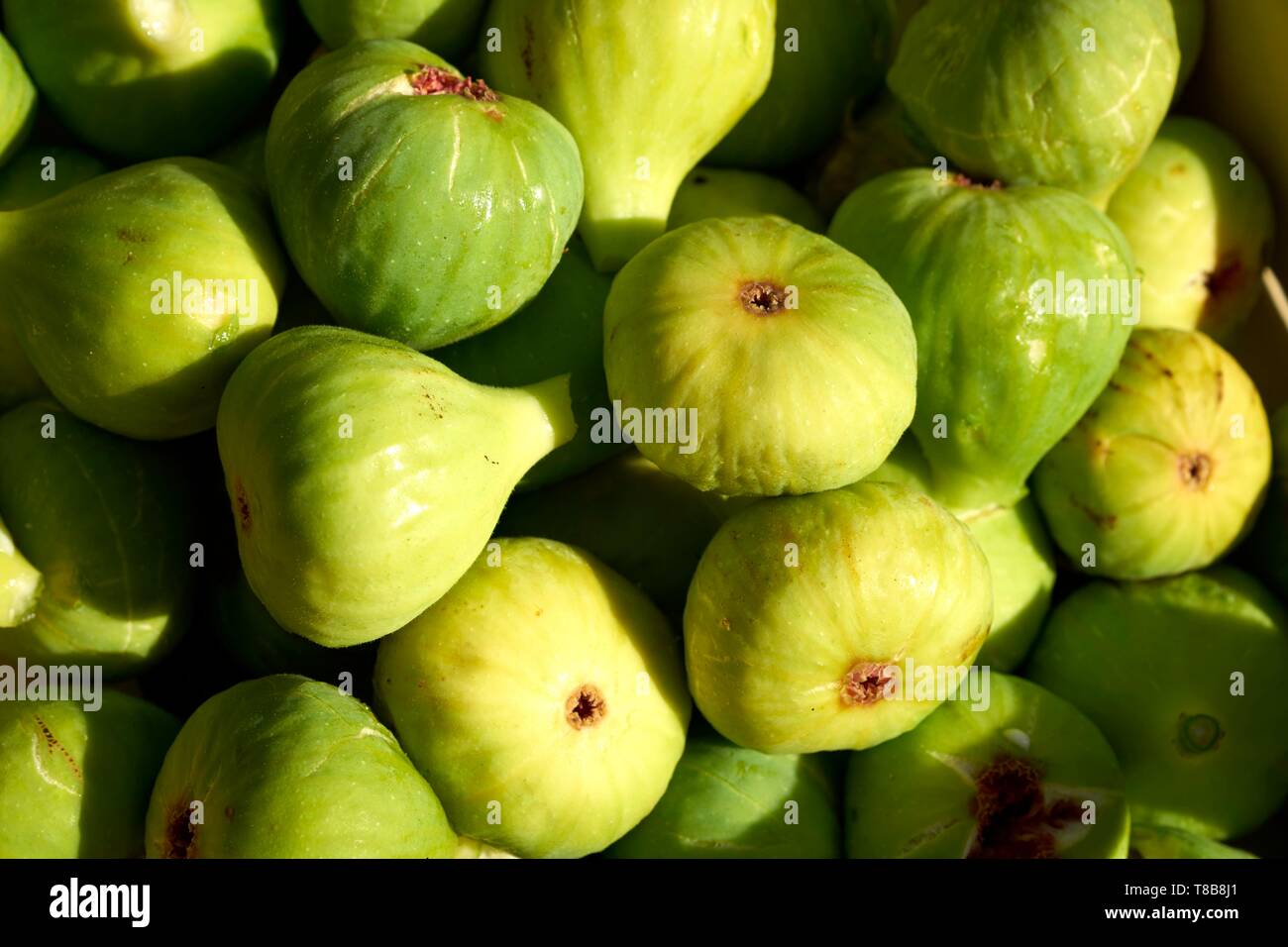 France fig tree hi-res stock photography and images - Alamy