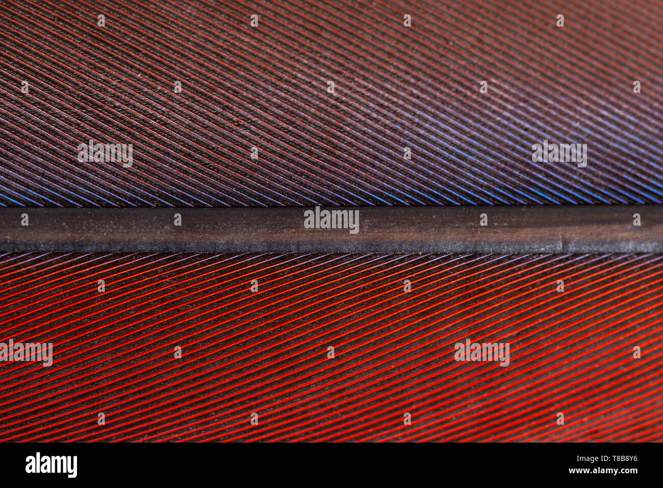 Feather surface background Stock Photo - Alamy