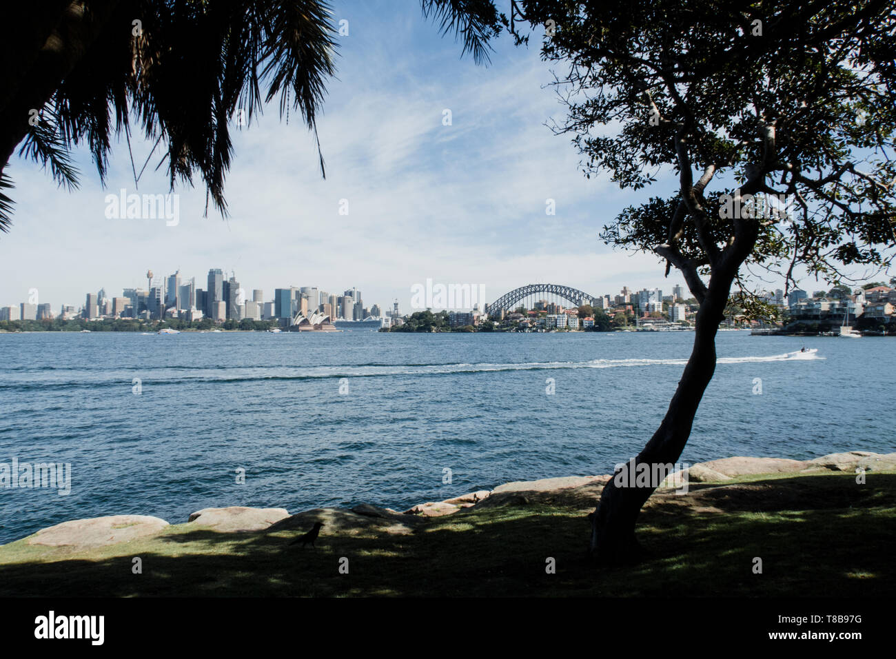 Sydney Harbour view from Cremorne Point North Sydney Stock Photo - Alamy