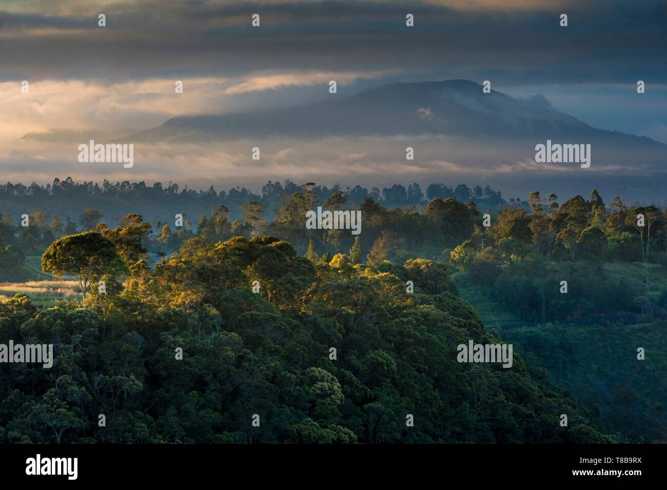 Wahgi valley hi-res stock photography and images - Alamy