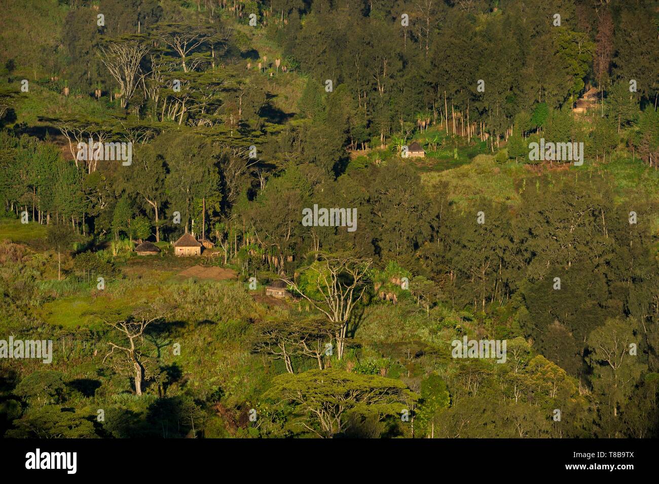 Enga province hi-res stock photography and images - Alamy