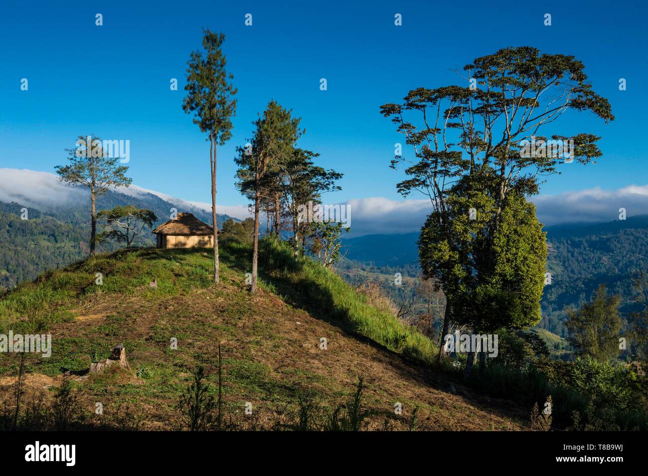 Enga province hi-res stock photography and images - Alamy