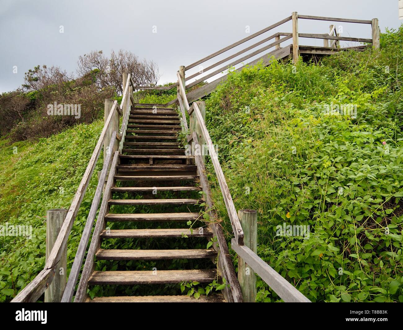 Wooden steps towards beach hi-res stock photography and images - Alamy