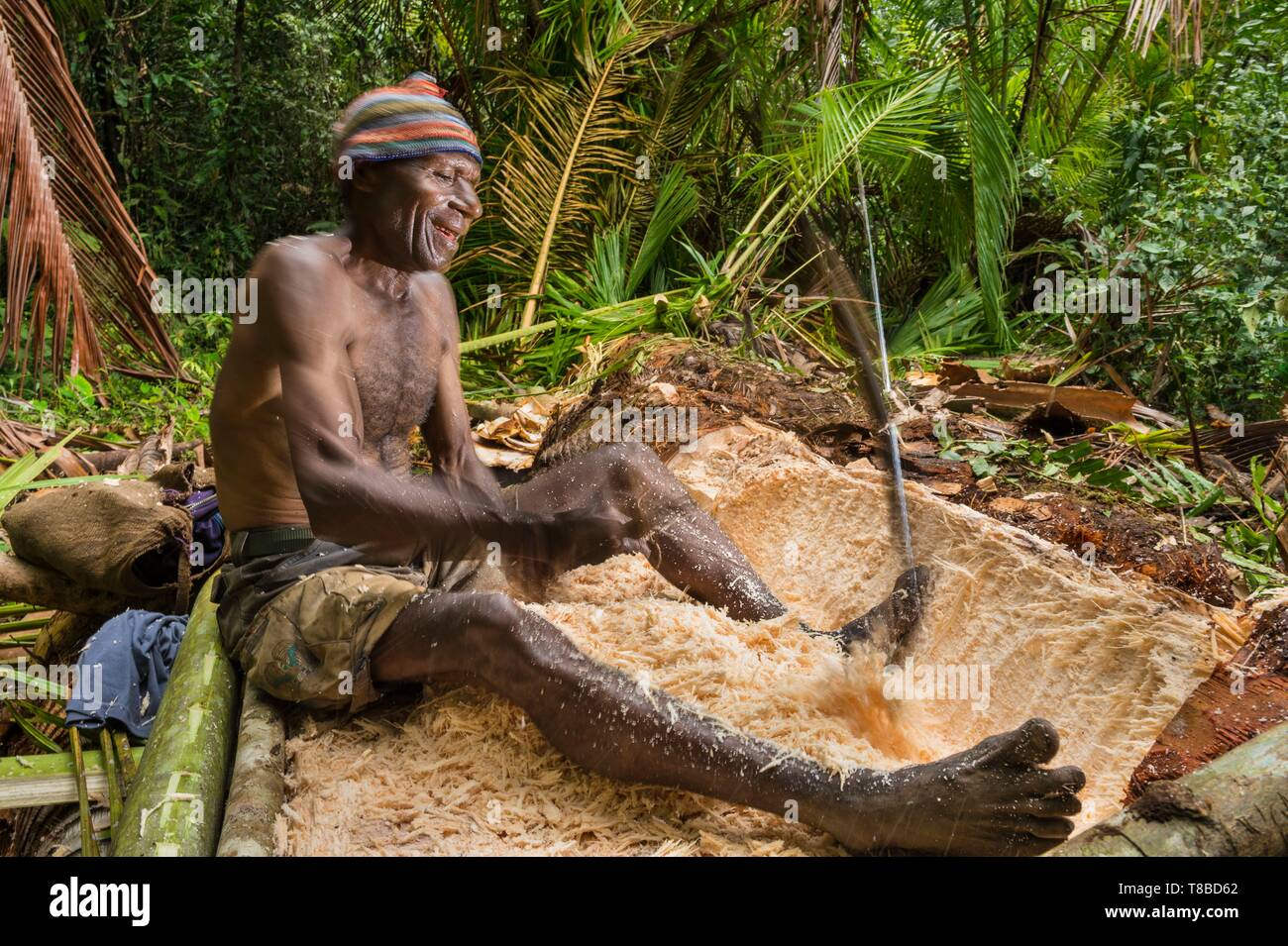 Sago palm papua new guinea hi-res stock photography and images - Alamy