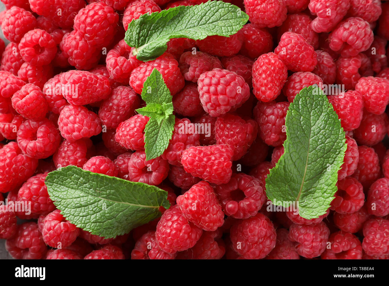 Fresh ripe raspberries with mint leaves as background Stock Photo - Alamy