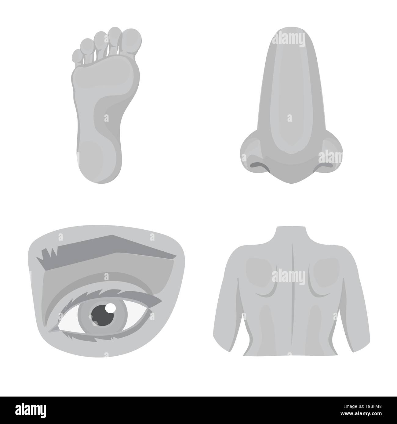 Vector design of body and part sign. Collection of body and anatomy ...