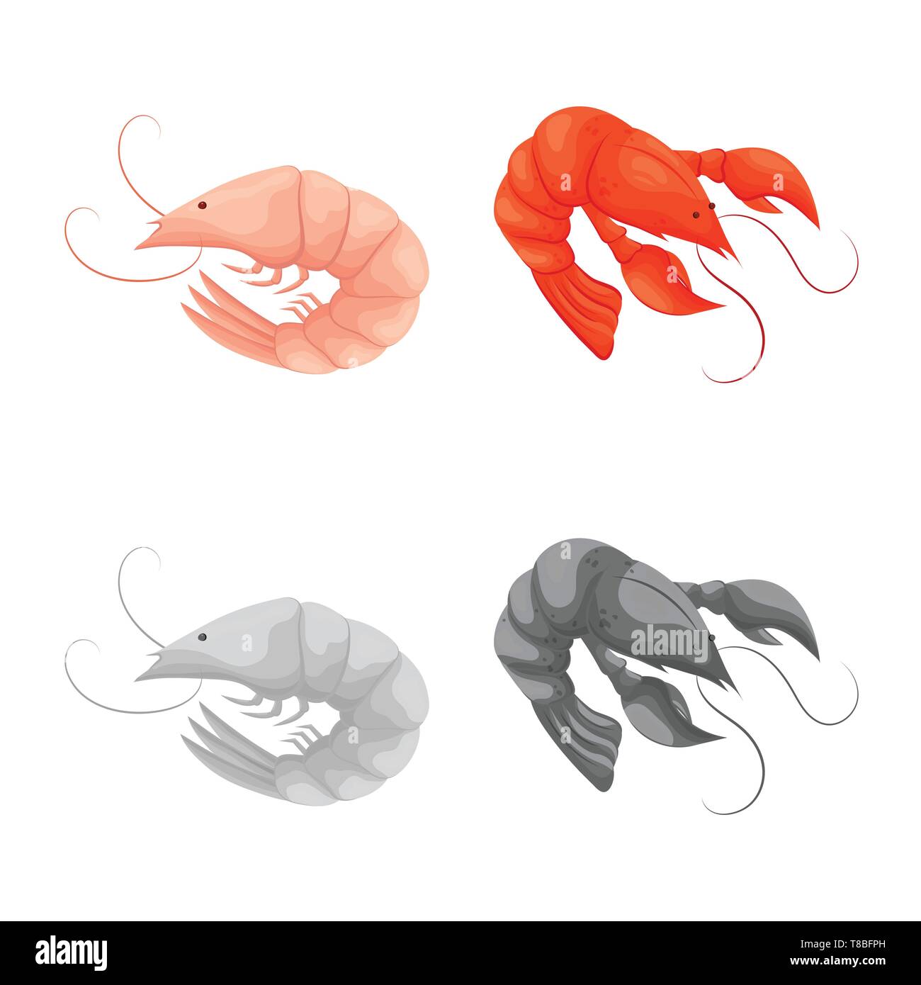prawn,lobster,raw,red,fresh,boiled,cooked,luxury,underwater,beach ...
