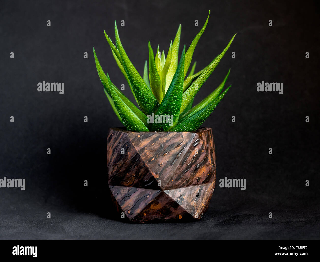 Geometric pattern plant pots hi-res stock photography and images - Alamy