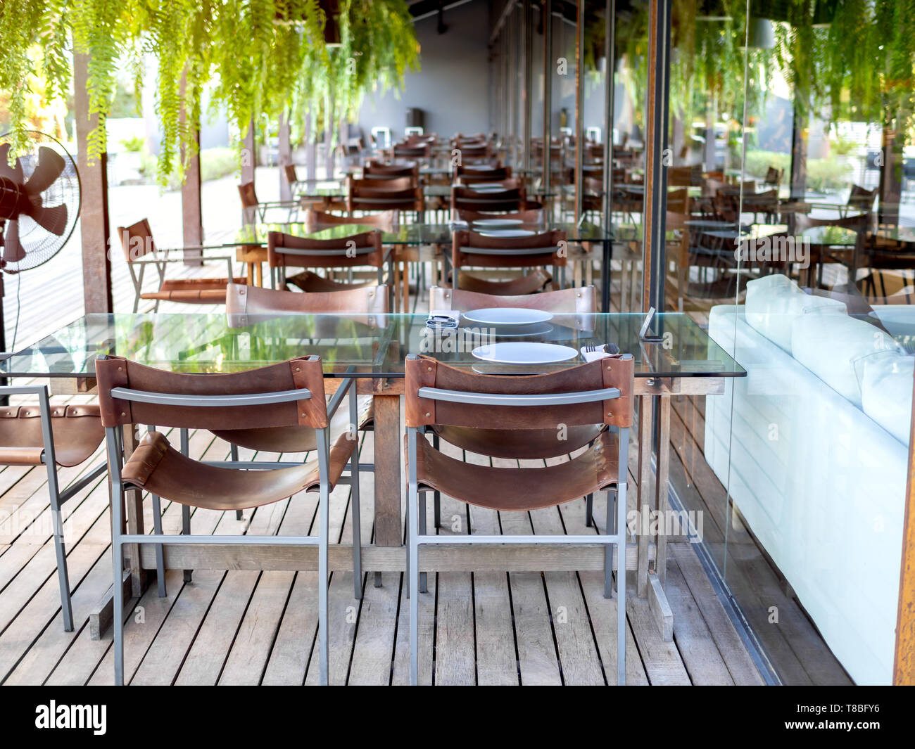Chairs and dining glass tables on wooden floor with hanging fern plants ...