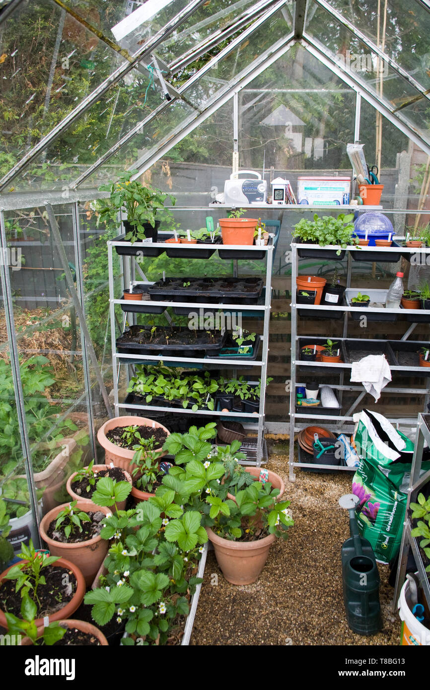 Of Photos Of Inside Small Greenhouse