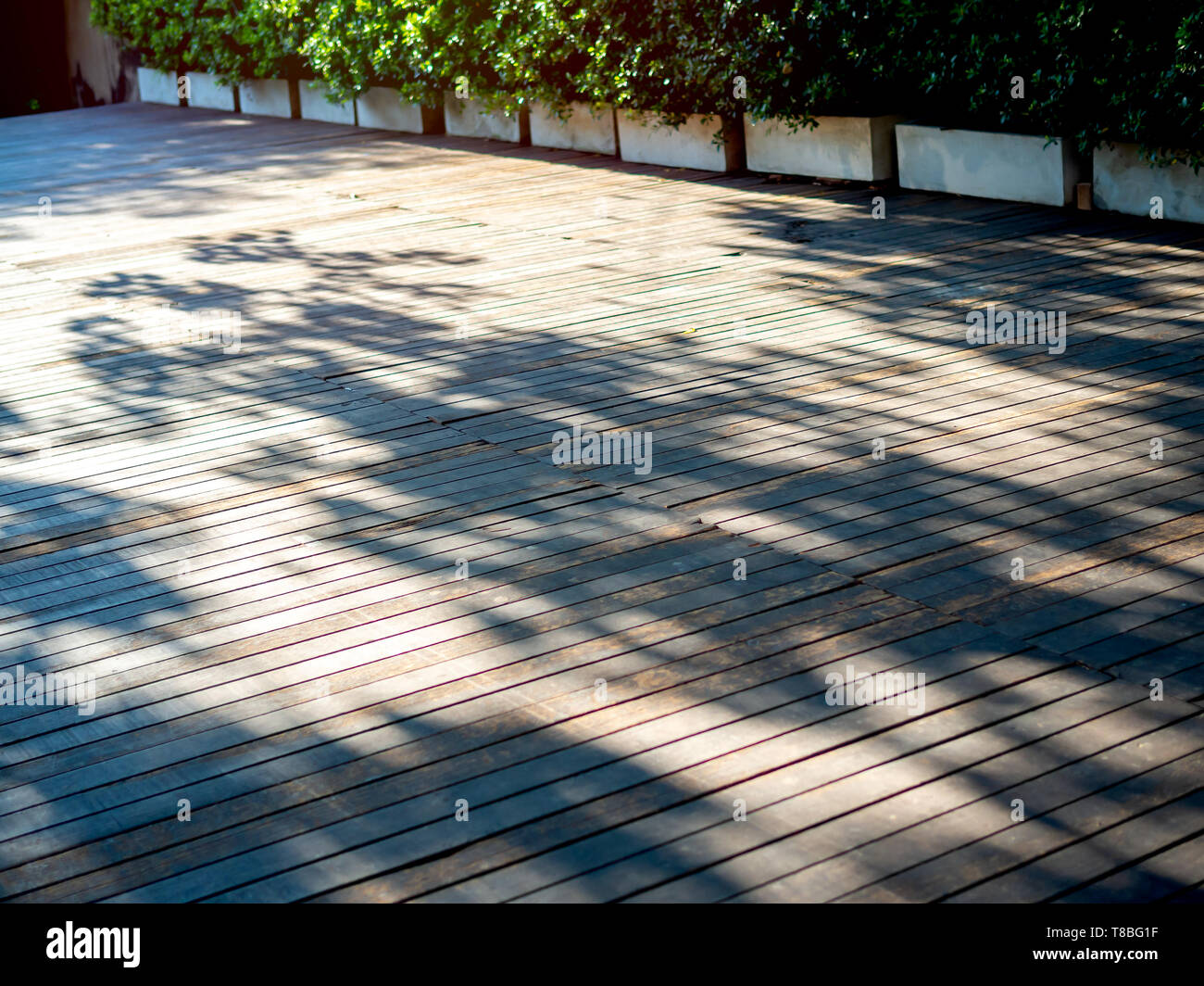 Wooden floor outdoor terrace with sunshine and shadow from tree near ...