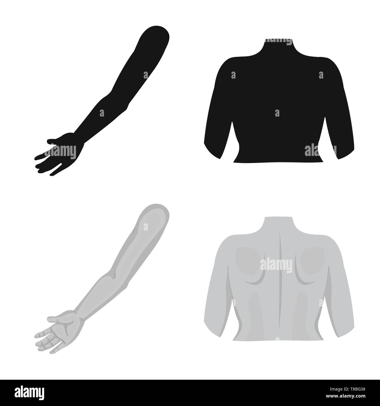 Vector illustration of body and part logo. Set of body and anatomy ...