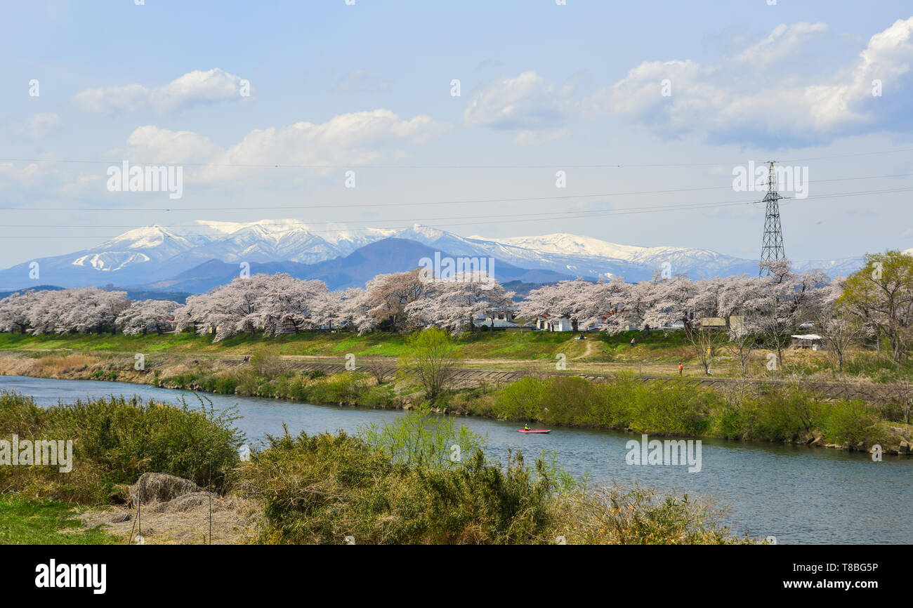 Cherry blossom with Shiroishi River and Zao Mountain Range background ...