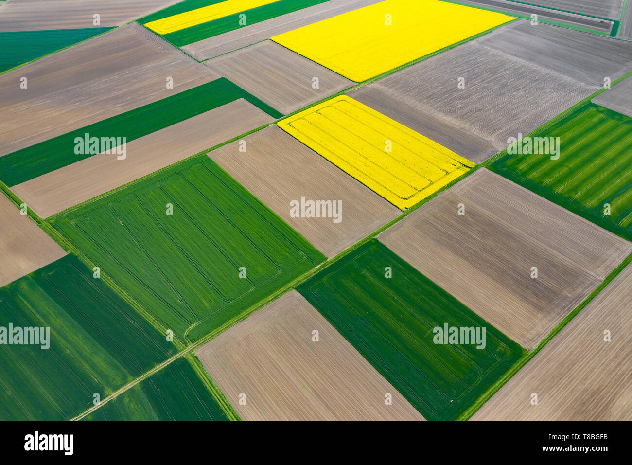 Aerial view of summer fields. Yellow fields from above. Photo captured ...