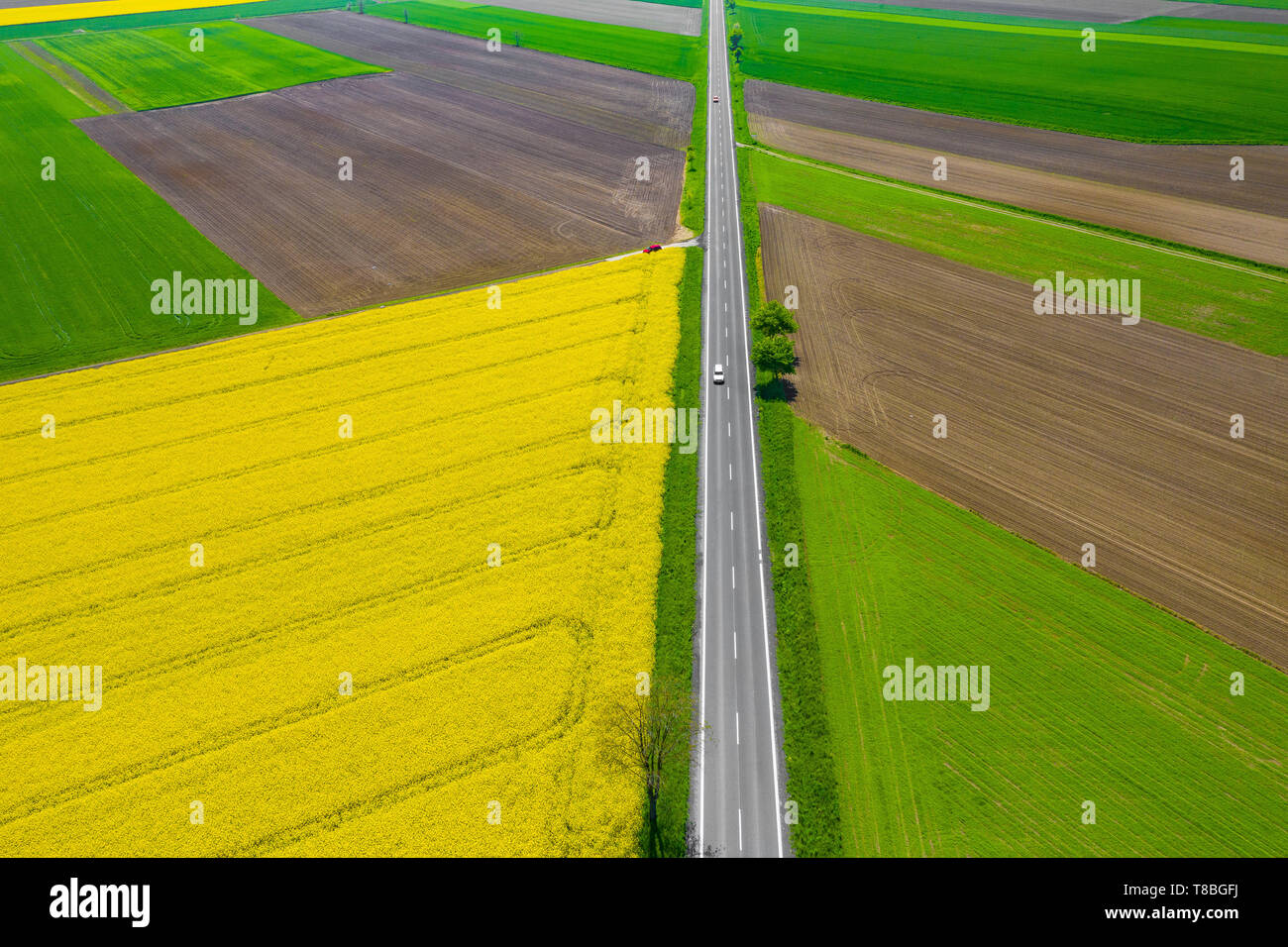 Aerial view of summer fields. Yellow fields from above. Photo captured ...