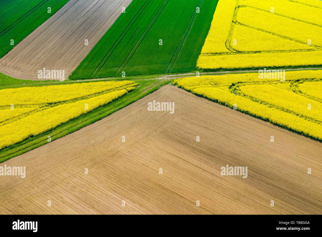 Aerial view of summer fields. Yellow fields from above. Photo captured ...
