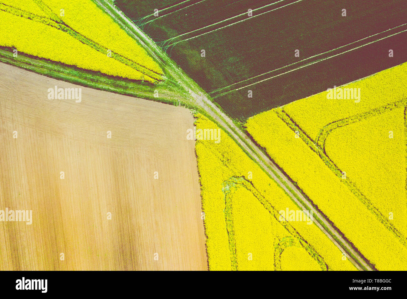 Aerial view of summer fields. Yellow fields from above. Photo captured ...